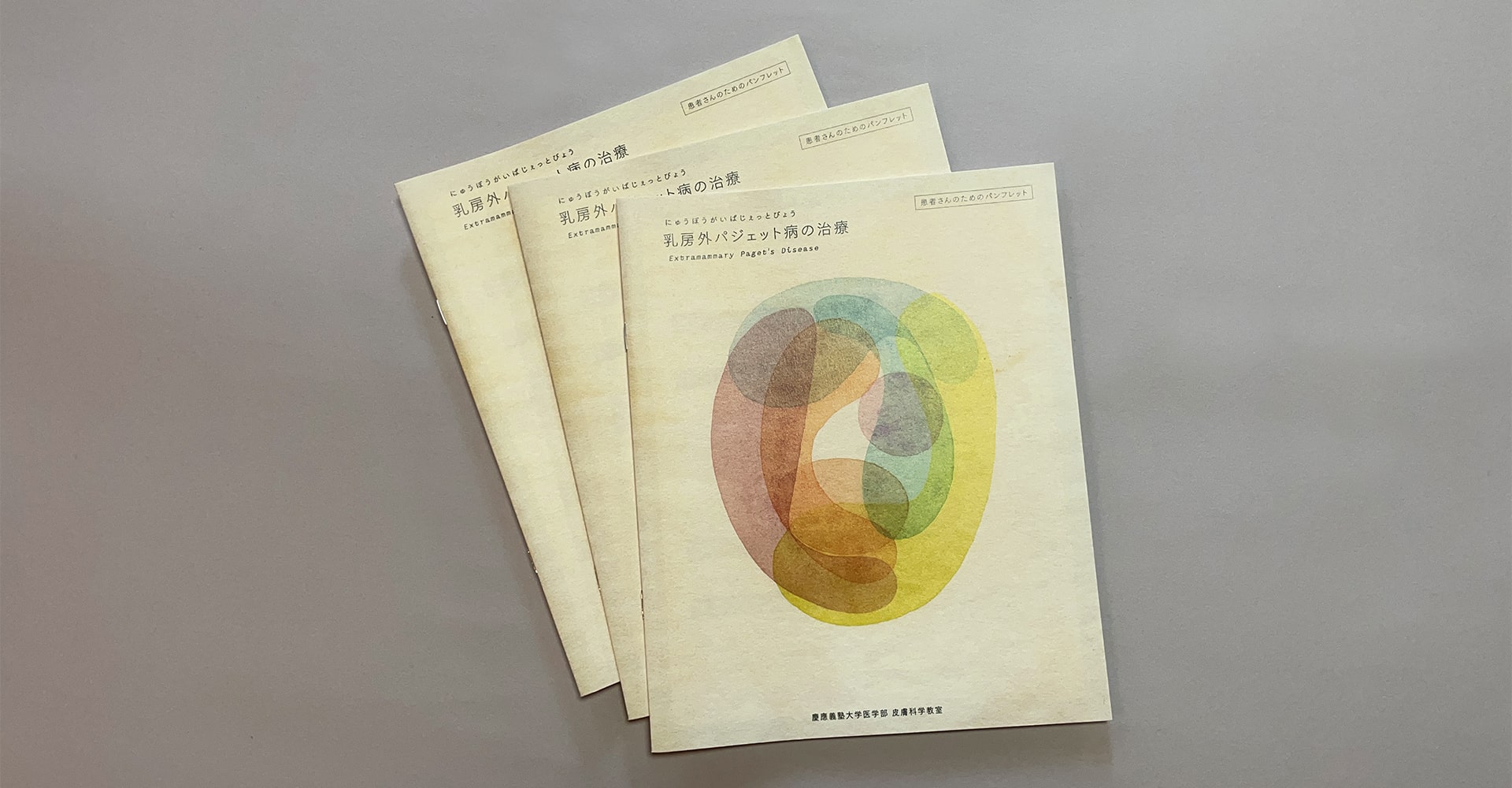 Brochure of the Department of Dermatology at Keio University School of Medicine | Works | aguije